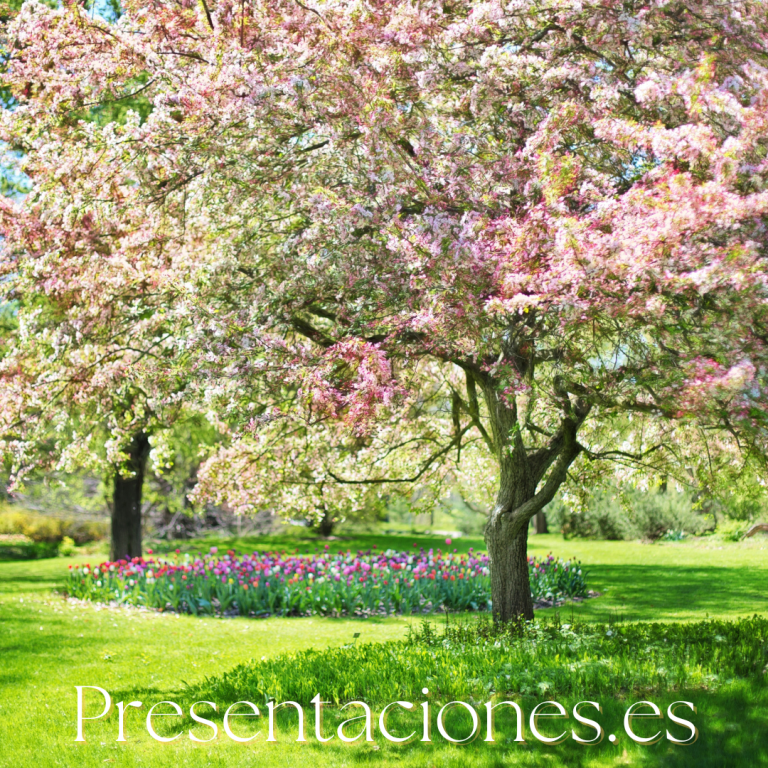 Cómo la llegada de la primavera afecta a nuestro ánimo y actividad ...